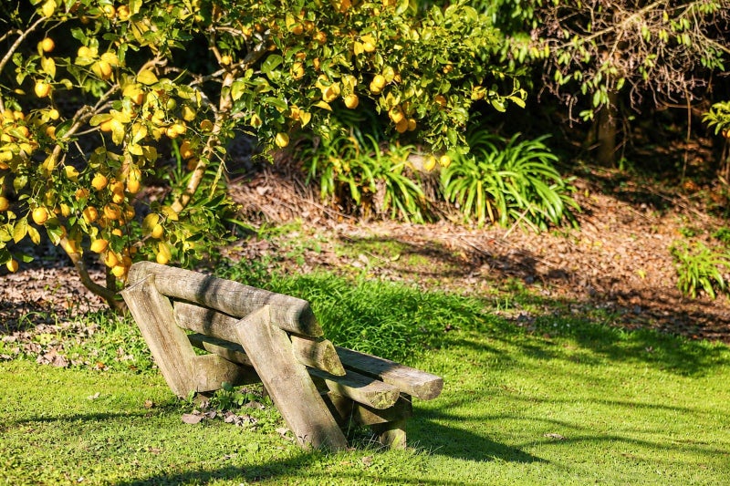 79 Gradara Avenue, Otorohanga, Waikato
