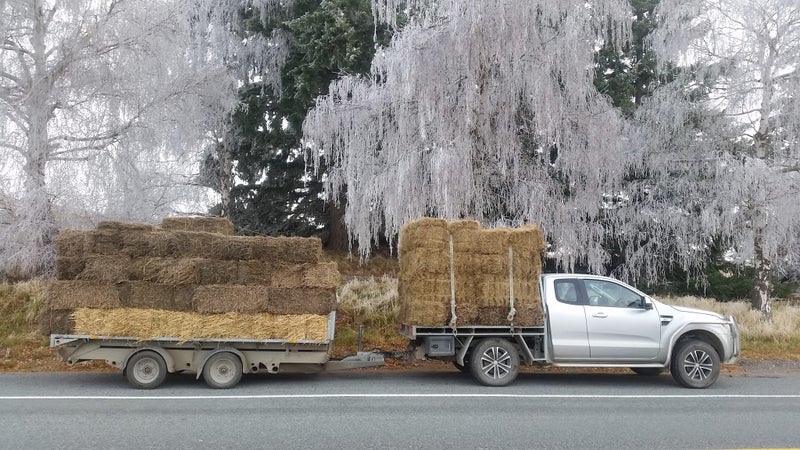QUALITY FEED, Balage, Hay, Straw, Grass, Lucerne | Trade Me Services