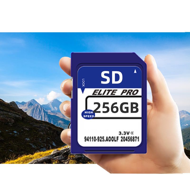 SD Memory Card 256GB 45 / 90M Class 10 High - speed Camera Micro SD ...