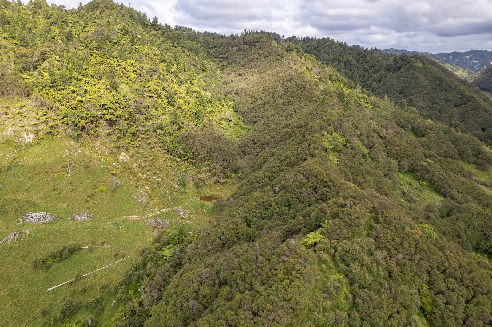 Piko Getaway : BidBud