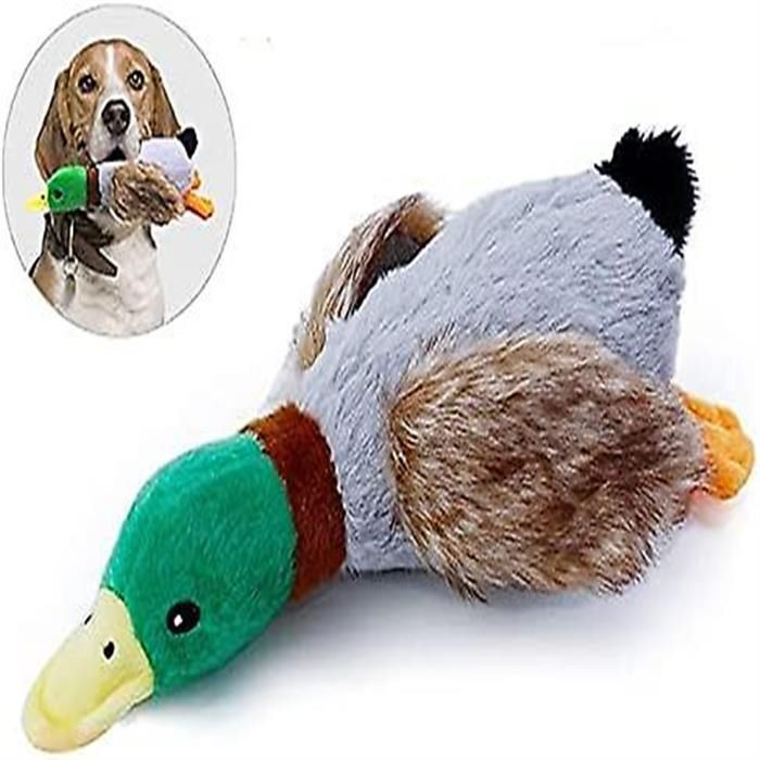 Dog Squeaky Toys, Quacking Mallard Duck Pet Dog Toy, Squeaky Dog Toy ...