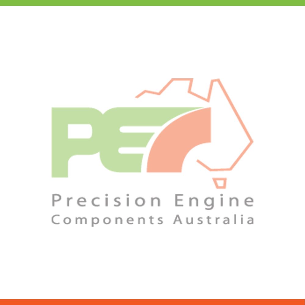 New * OEM * ECU - Electronic Control Module 19210738 For HOLDEN VE V8 ...