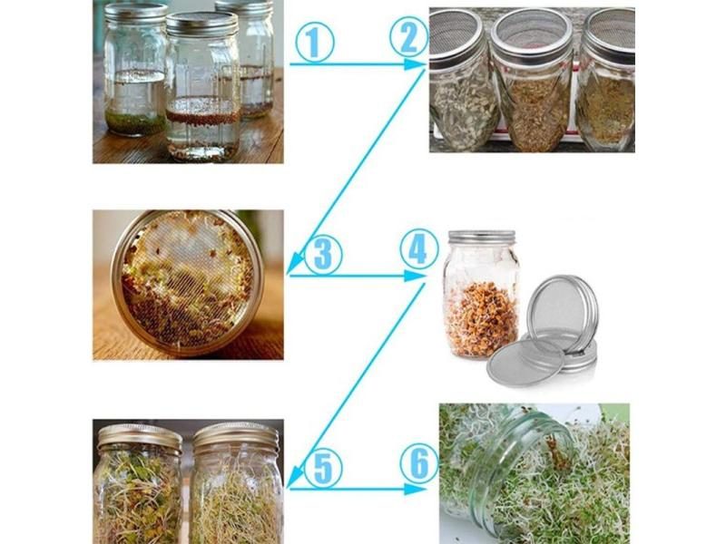 Stainless Steel Strainer Lids Mesh Screen Filter Seed Sprouter ...