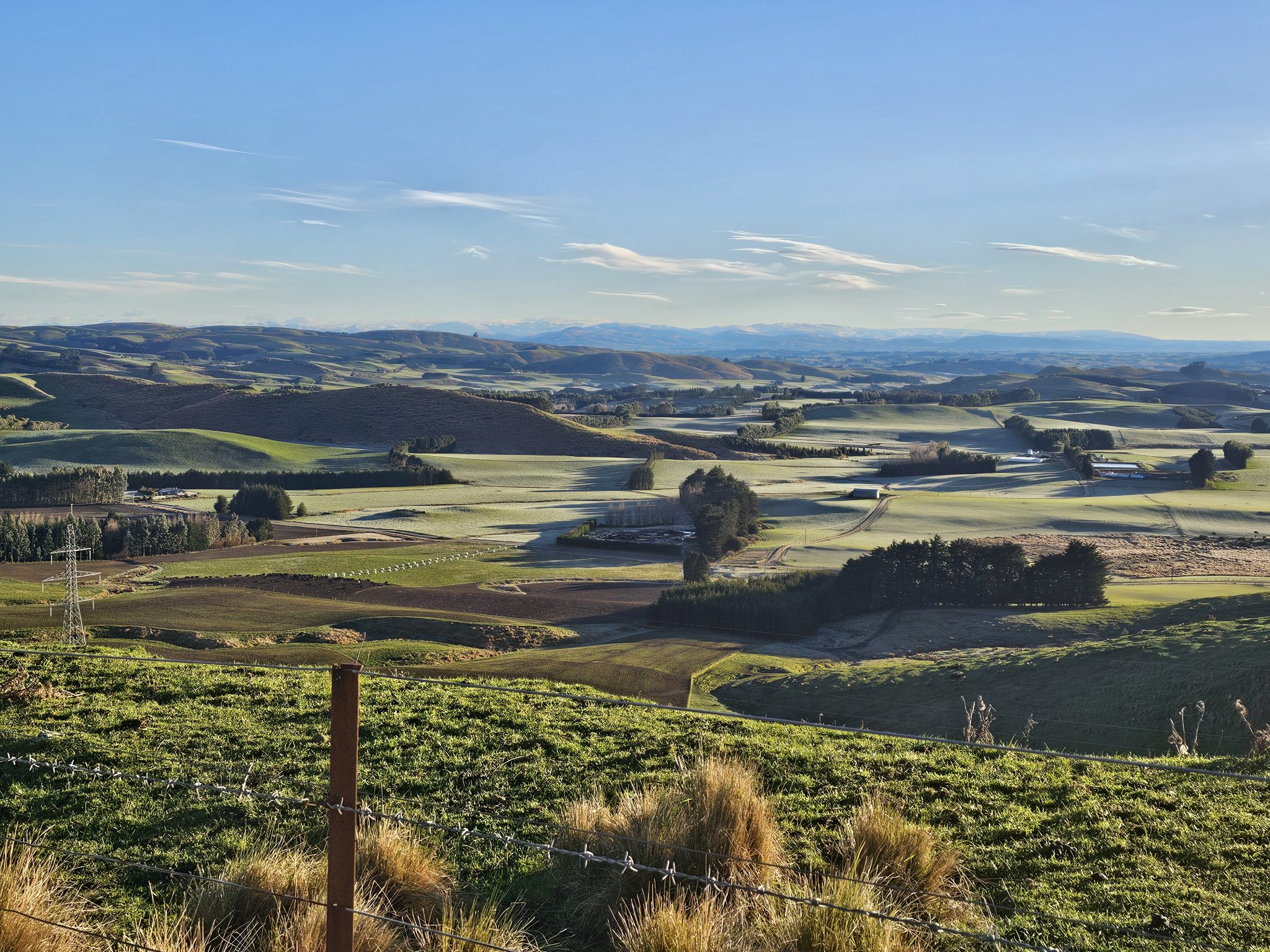 Junior Shepherd : BidBud