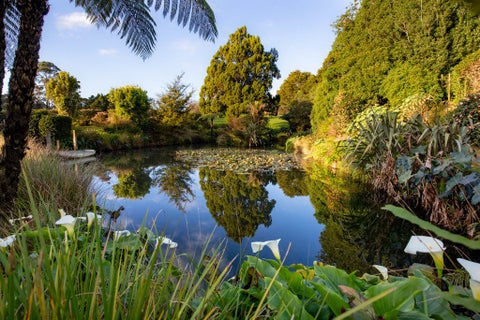Recently Sold Houses in Pukekohe East, Auckland | Trade Me Property