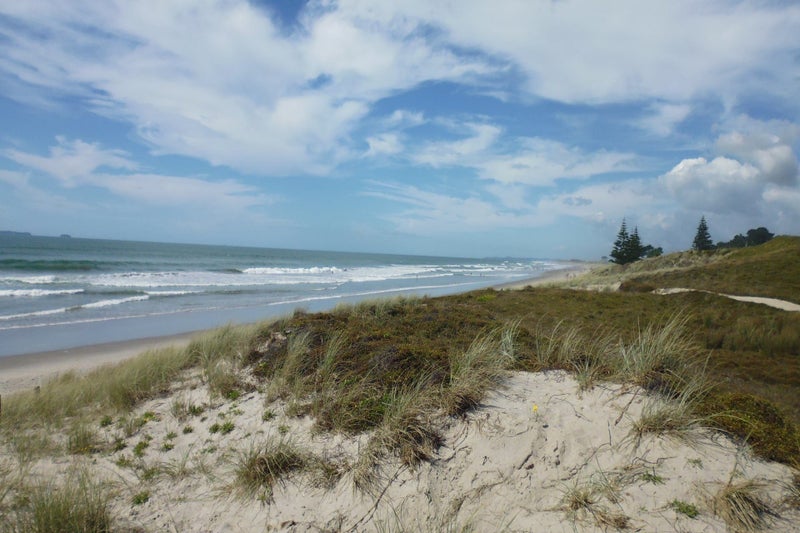 Property Valuation for 3 Shaun Close, Papamoa Beach, Papamoa | Trade Me ...