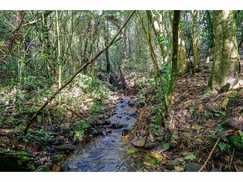 Property Valuation for 98 Access Road, Kerikeri | Trade Me Property