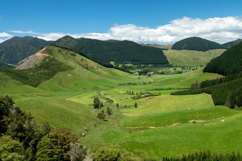 Property Valuation for 0 Bryants Road, Rai Valley, Rai Valley | Trade ...