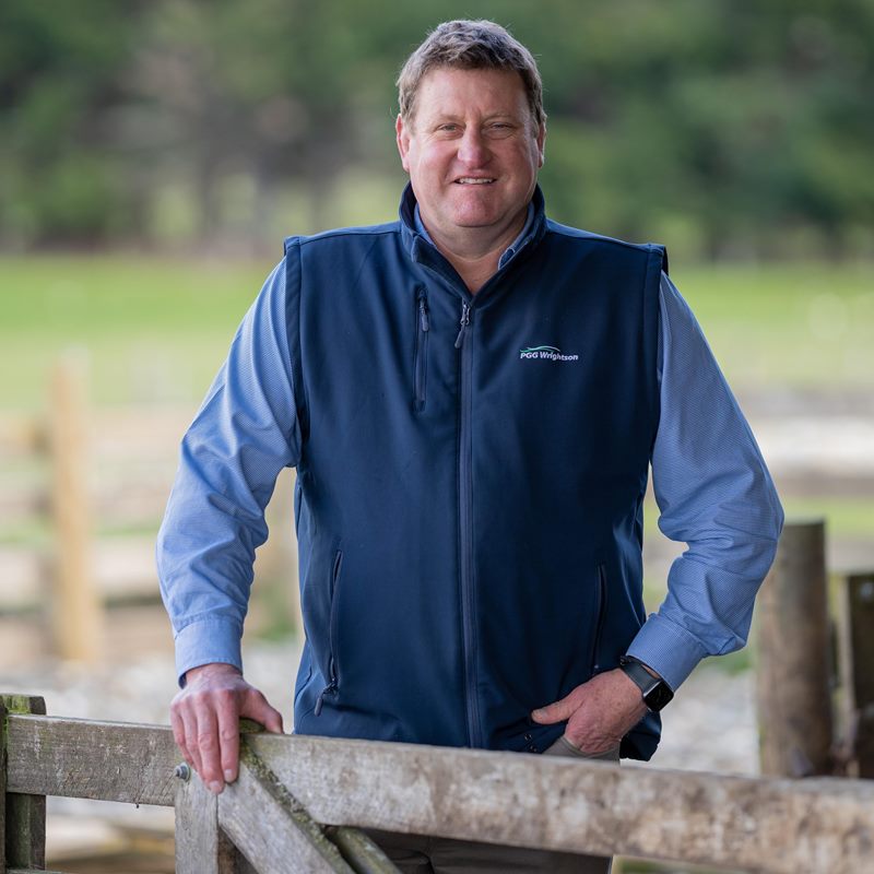 Nick Robertson | Real Estate Agent | Trade Me Property