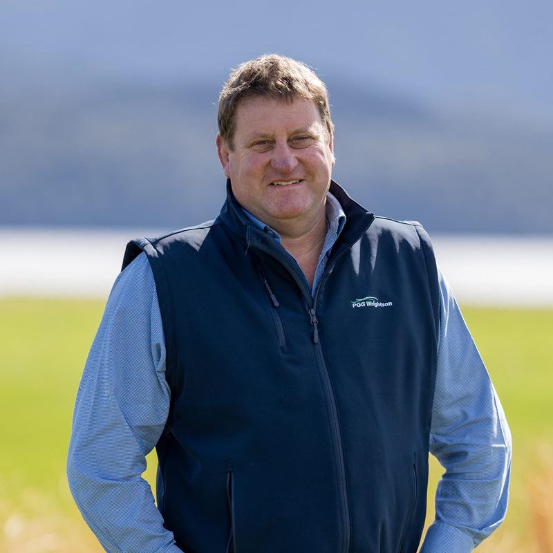 Nick Robertson | Real Estate Agent | Trade Me Property